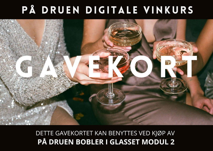 Lær om vin med Trude Helén Hole - gavekort på digitale vinkurs – FEATHER BOOK, WINE & ART