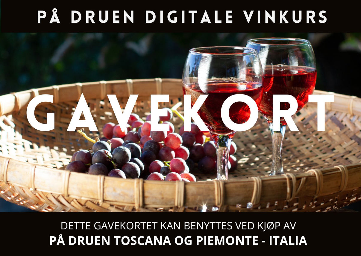 Lær om vin med Trude Helén Hole - gavekort på vinkurs - Italia – FEATHER BOOK, WINE & ART
